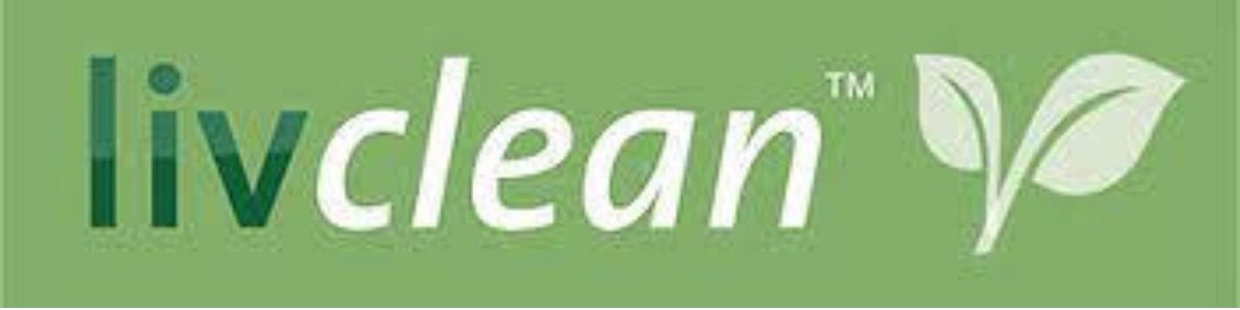 Sustainable Aviation | Reducing our Carbon Impact | ITPS Canada